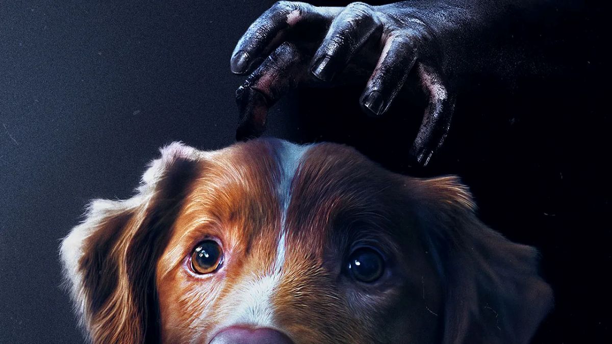 “Goodboy: A Dog-Centric Horror That Struggles to Connect – Uncut Diamonds
